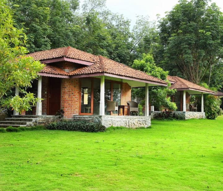 11 Resorts In Ponmudi