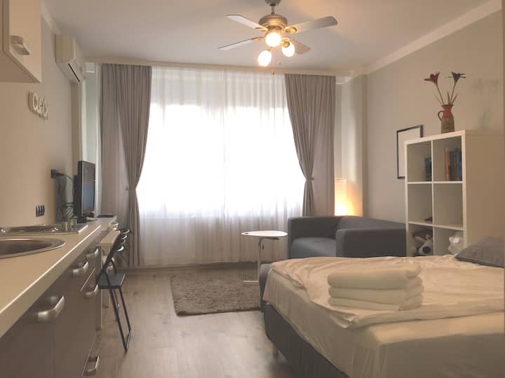 Cosy Studio Apartment In City Center - Sarajevo