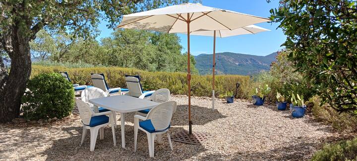 Le Bungalow Bleu Domaine Privé Proche St Maxime - Vidauban
