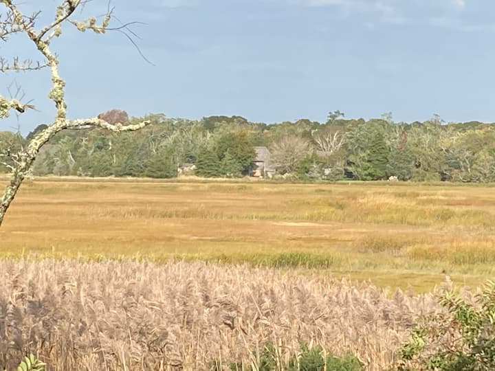Marsh Cottage 1 - Cottages for Rent in Orleans, Massachusetts, United ...