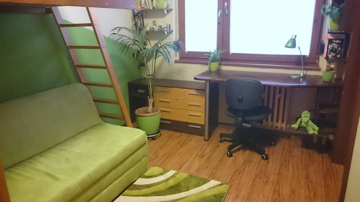 Quiet Place Close To Center, Green Room - Bratislava