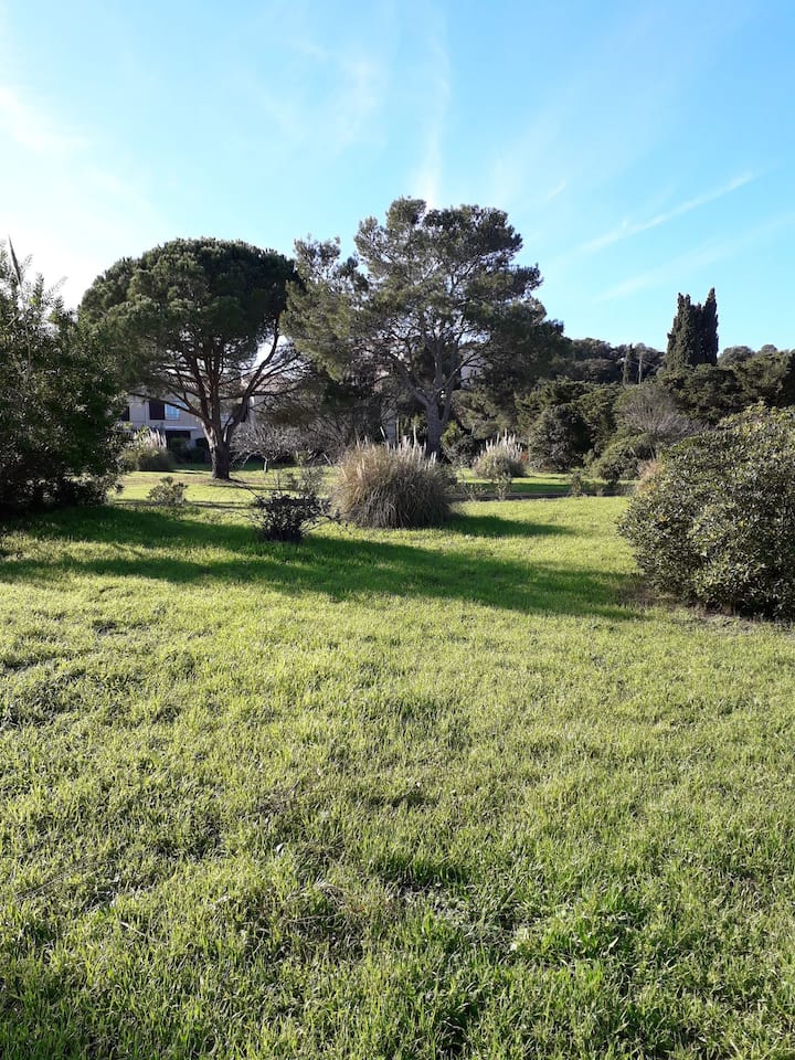 T2 Lumineux Avec  Jardin, Plages à 10 Min A Pied. - Île de Porquerolles