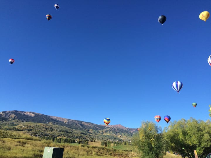 One Year Lease Aspen Area Private 2 Bedroom Condo - Basalt, CO