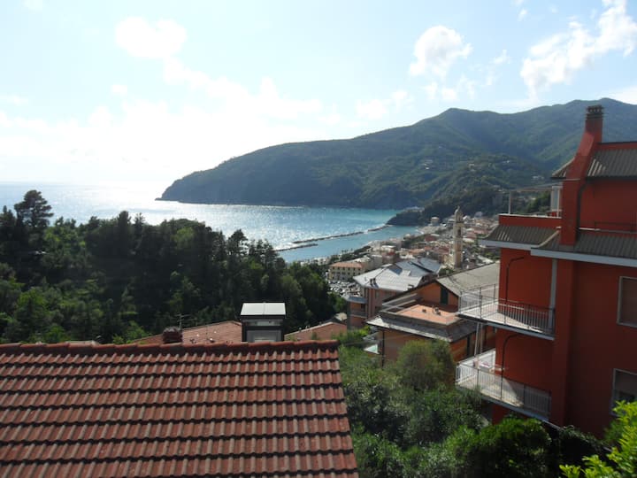 Nice One-bedroom Apartment, Less Than A Kilometer From The Sea - Citra 010037-lt-0588<br> - Moneglia