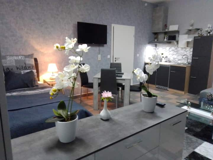 Apartment-orchidee Nahe Bahnhof-forum-rittalarena - Wetzlar