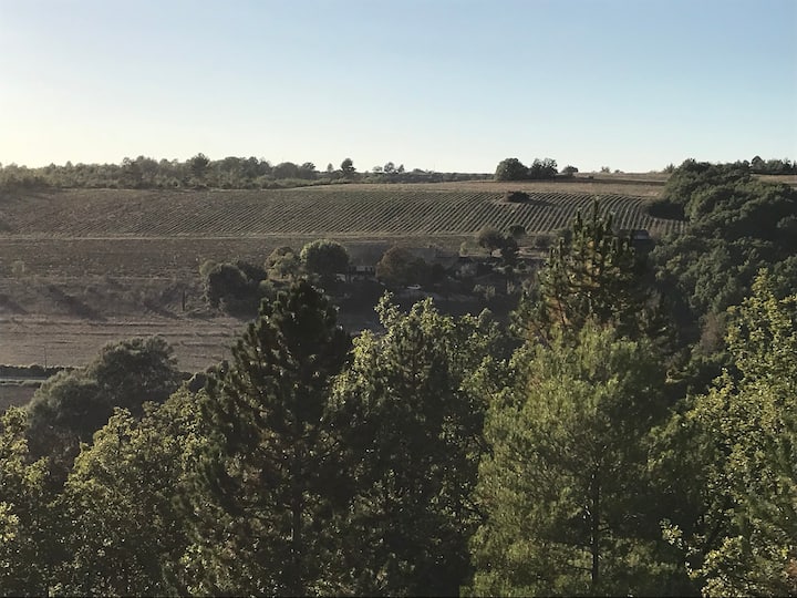 Domaine Le Commandaire - Riez