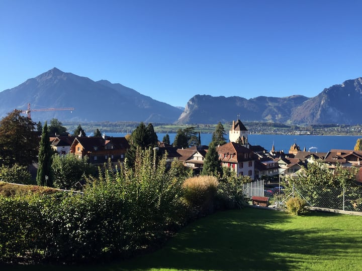 Amazing View With Balcony And Free Parking - Thun