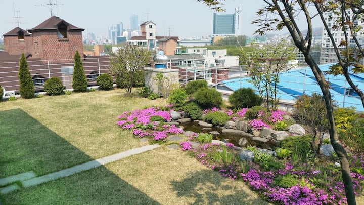 Cozy Studio(b)/costco/강남/e~mart/매헌역/양재시민의숲 - Seoul