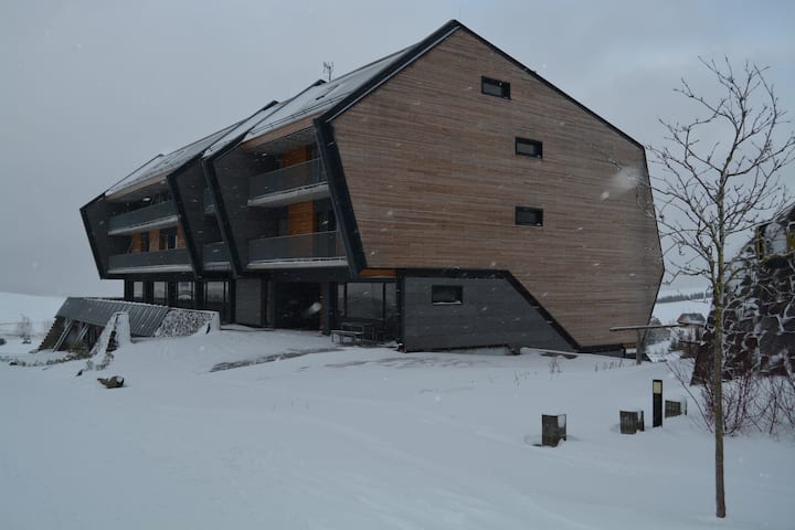 Snow  2 Horský Apartmán - Oberwiesenthal