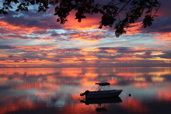 Rose Moorea- Beach - French Polynesia