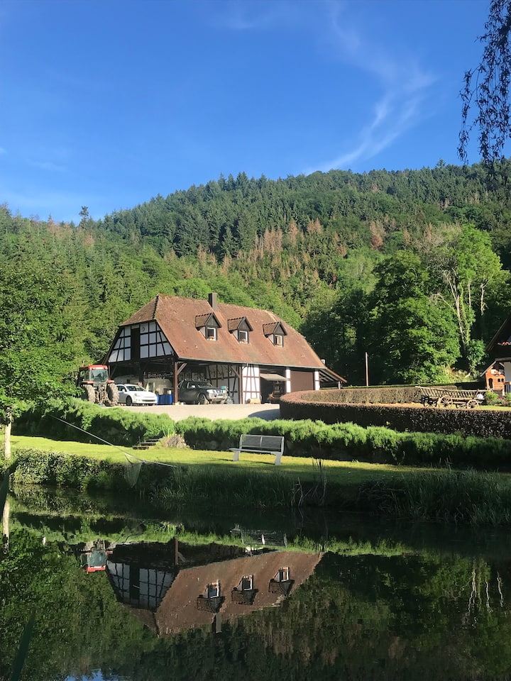 Gîte Maison Forest Efftermatten - Champ du Feu