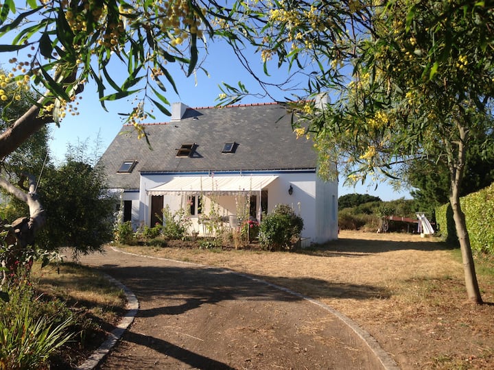 Maison Individuelle Pres Plages De Sable - Groix