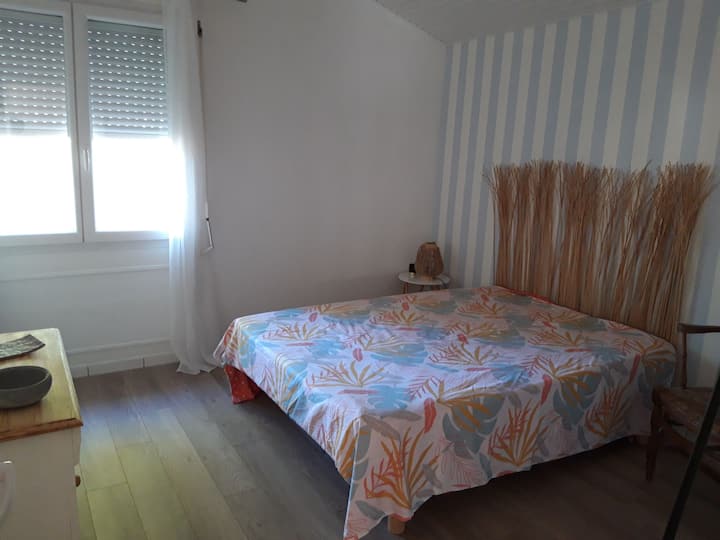 Maison De Vacances  2,5 Km De L Ocean - Mimizan-Plage