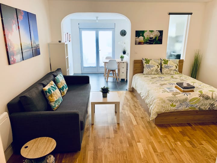 Studio City, Cdg, Expositions,disney,asterix,arena - Villepinte