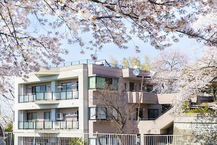 Sale!!160m2 Large House Yokohama Chinatown,mmirai - 江之島