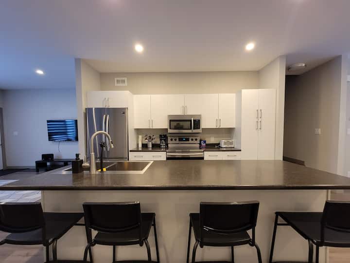 Beautiful Luxurious - 3 Bedrooms 3 King Beds - Winnipeg