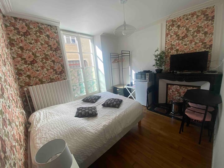 Chambre Fleurie 1 - Langres