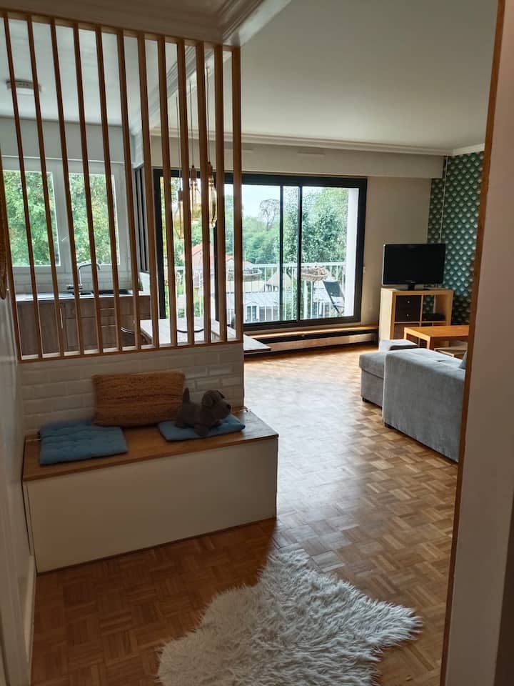 Appartement Très Lumineux ! - Rueil-Malmaison