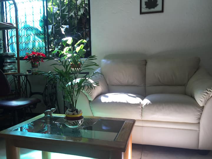 Bonito Departamento Completo En Cuernavaca - Cuernavaca