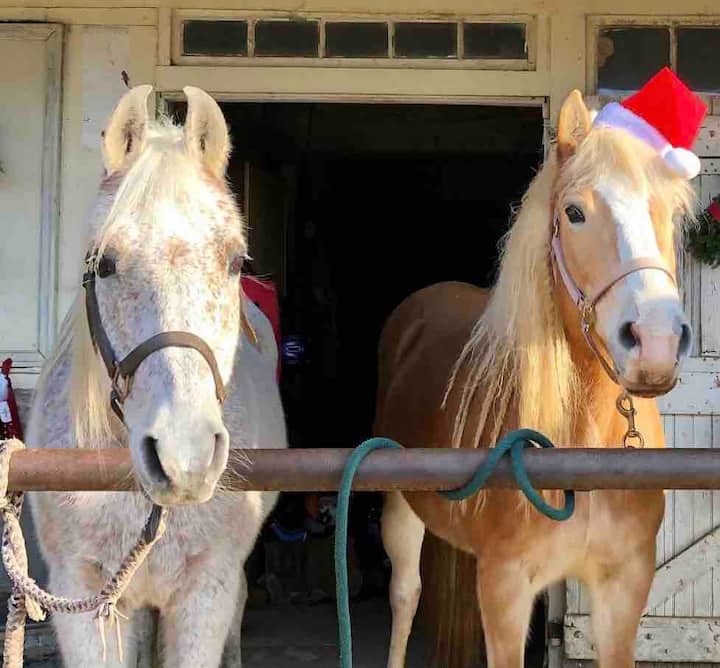 Lancaster County Horse Ranch Apartment - Pennsylvania