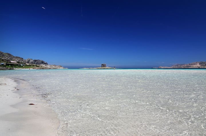Sardegna Come Ai Caraibi :Casa  Su Spiaggia Pelosa - Stintino