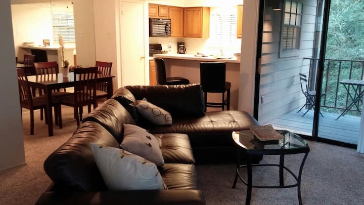 North Dallas Vacation Rentals & Homes - Dallas, TX | Airbnb