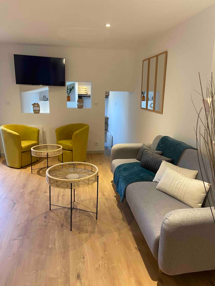 Cosy T2 Terrasse Hyper Centre - Bourges