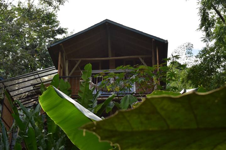 Huitaca - Guayacán - Choachí