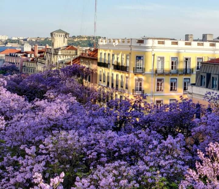 Sunny 2br At Av. D.carlos I, Lisbon - Benfica