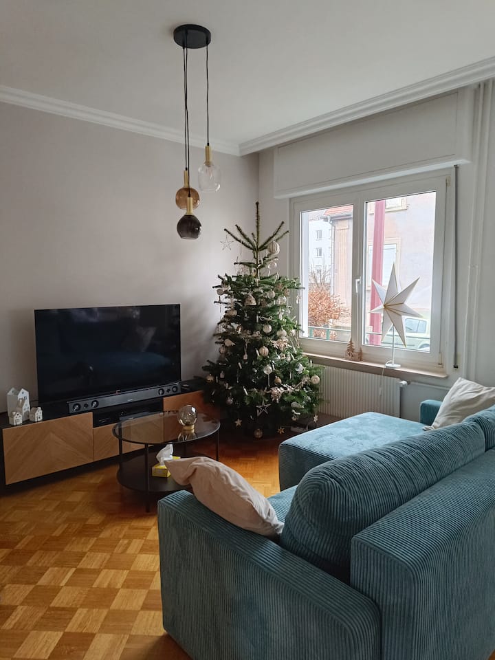 Appartement Cosy Strasbourg - Schiltigheim