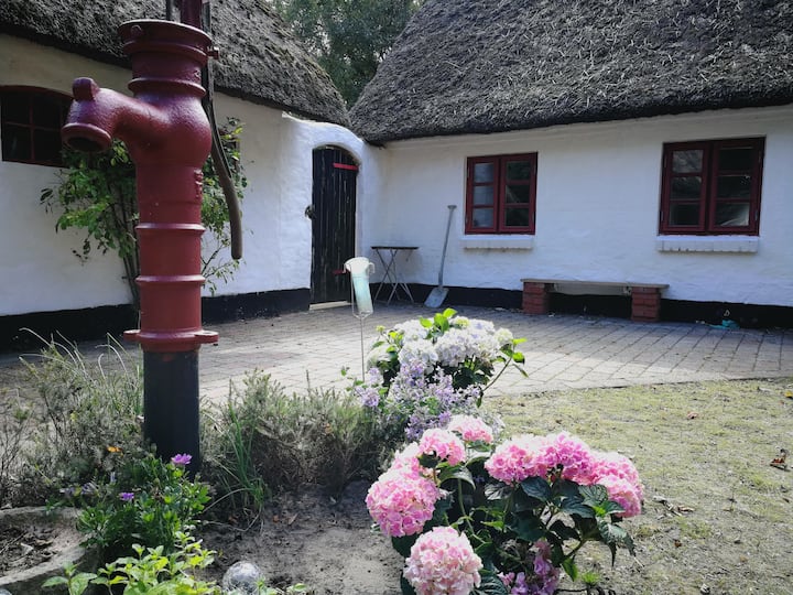 Gemütliches Reetdachhaus Mit Kaminofen - Ribe