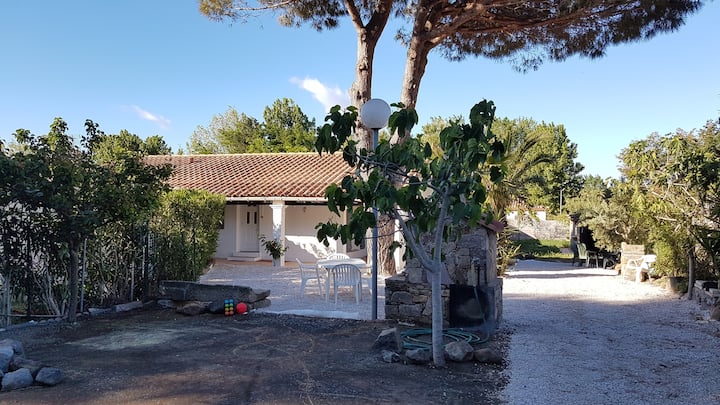 Marina T5 Cap D'agde 400mmer Dispo Samedi 16 Aout - Agde
