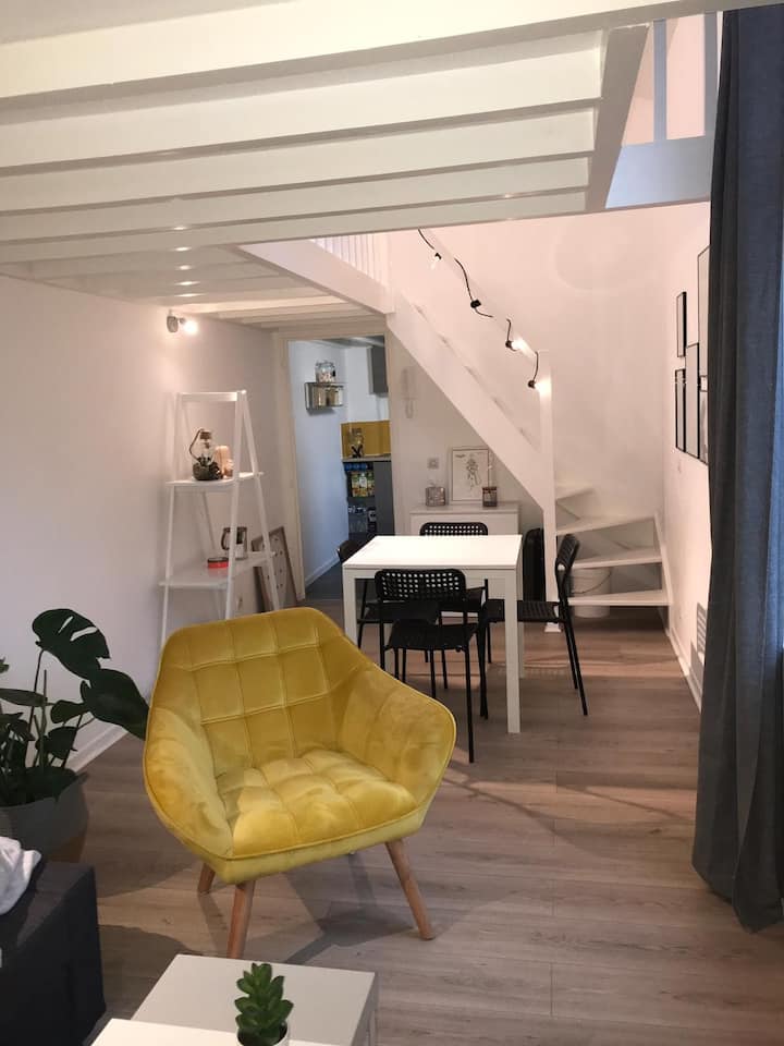 Appartement Cosy Dans Le Centre De Lille - Lille