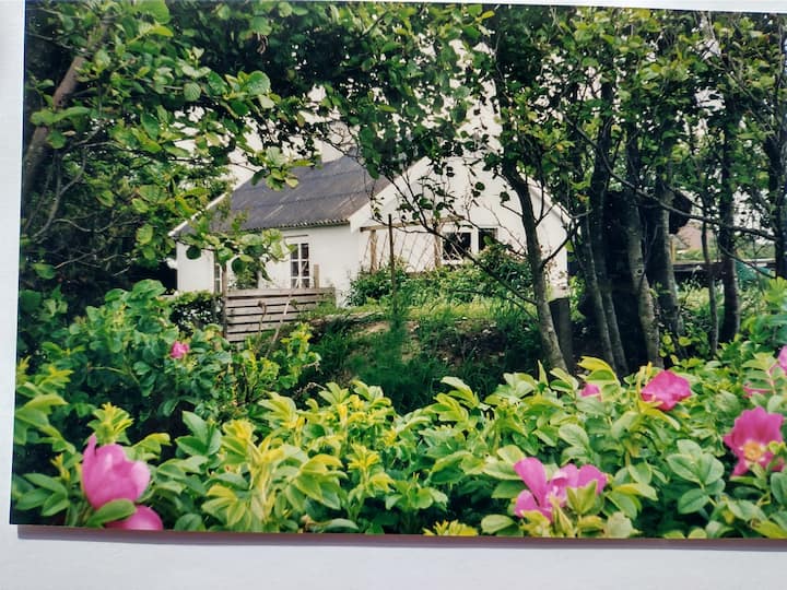 Fuglehuset /Vedersø Vest Stadil Fjord + Lille Hund - Danemark