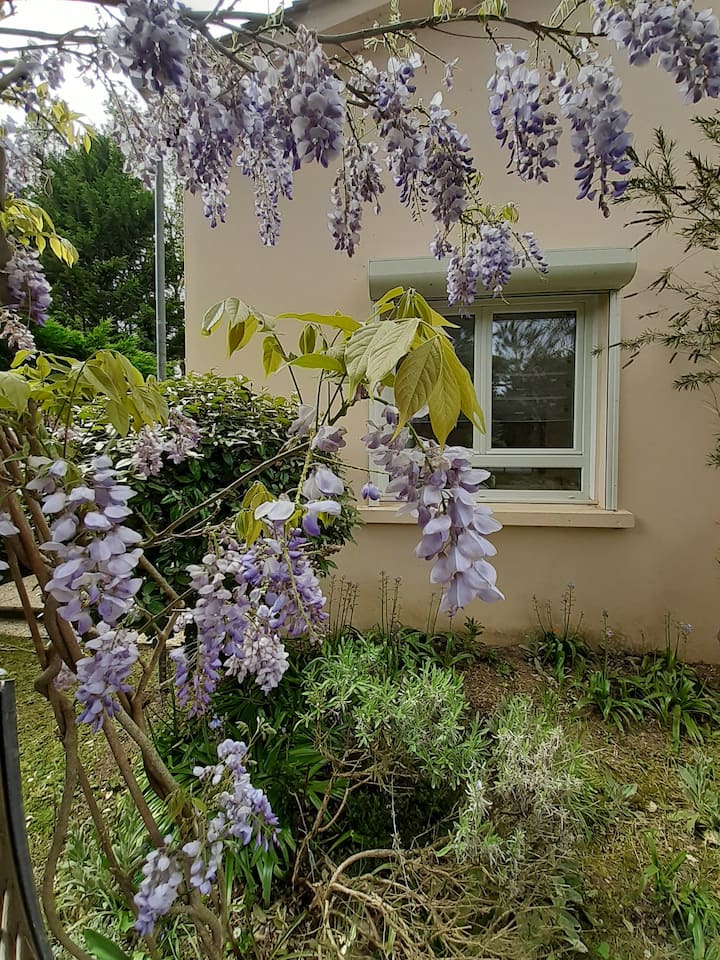 Gîte/maison T2 Mer & Forêt Avec Terrasse Et Garage - Saint-Jean-de-Monts