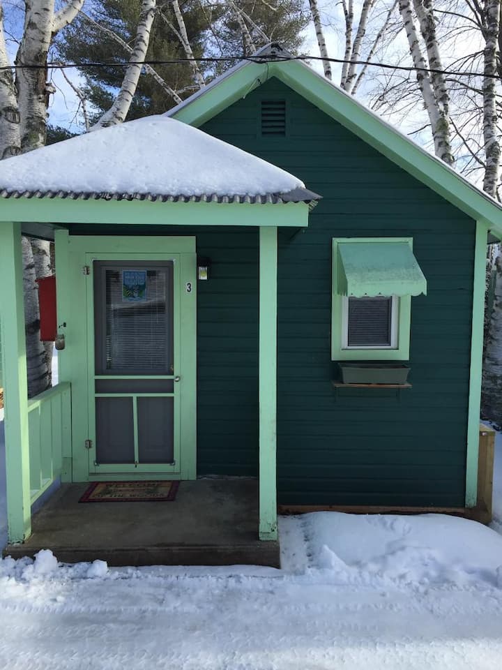 Mouse Den - Schroon Lake, NY