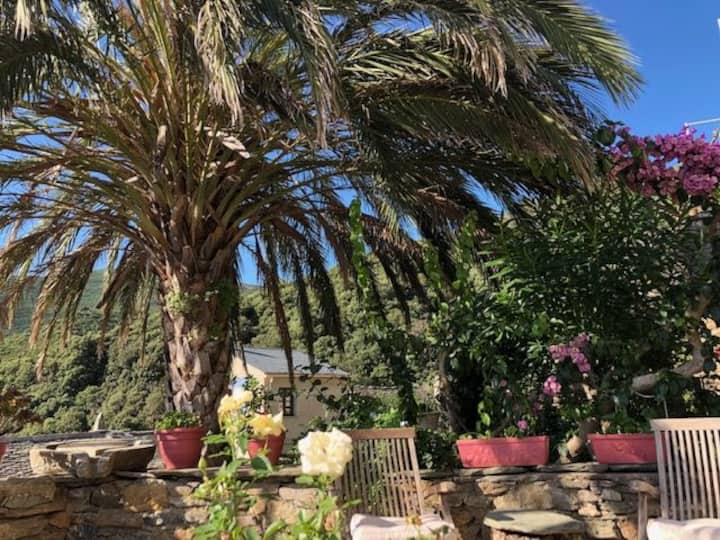 Gîte Le Pressoir Au Cœur Du Maquis - Macinaggio