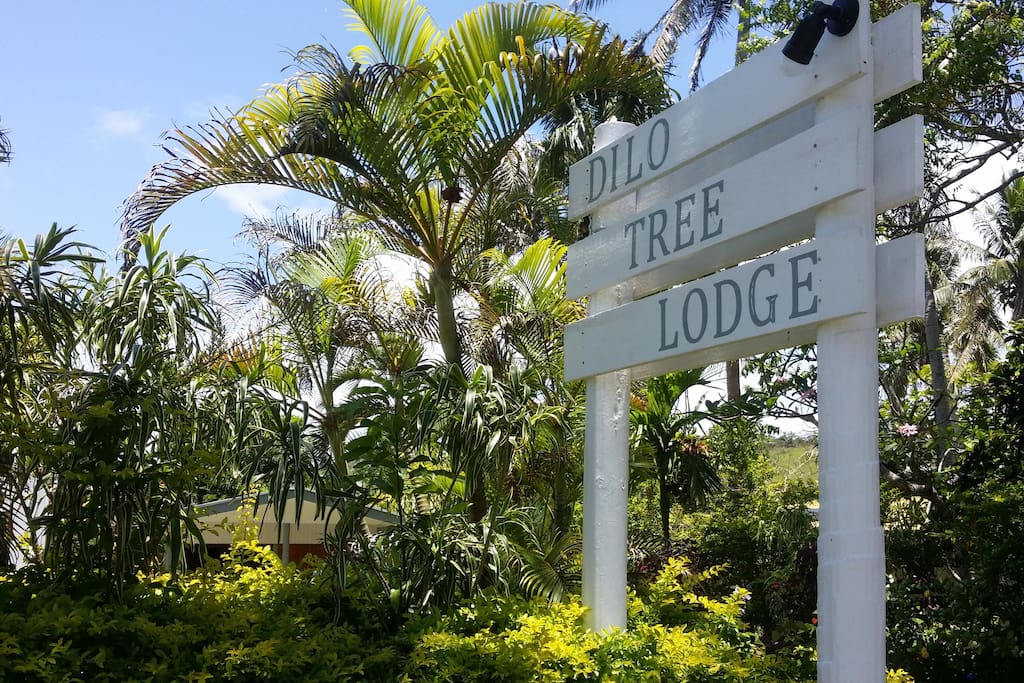 Dilo Tree Lodge - Guesthouses for Rent in Korotogo, Western Division, Fiji