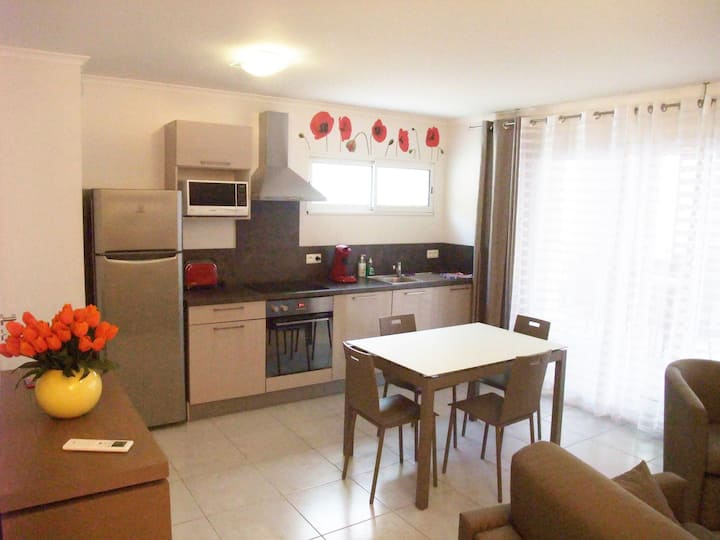 New T3 Apartment Center Beziers Secure Parking - Béziers