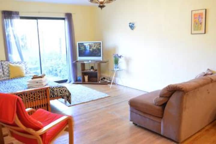 Sunny Flat By Ocean Beach W/free Prkg & Laundry! - San Francisco, CA