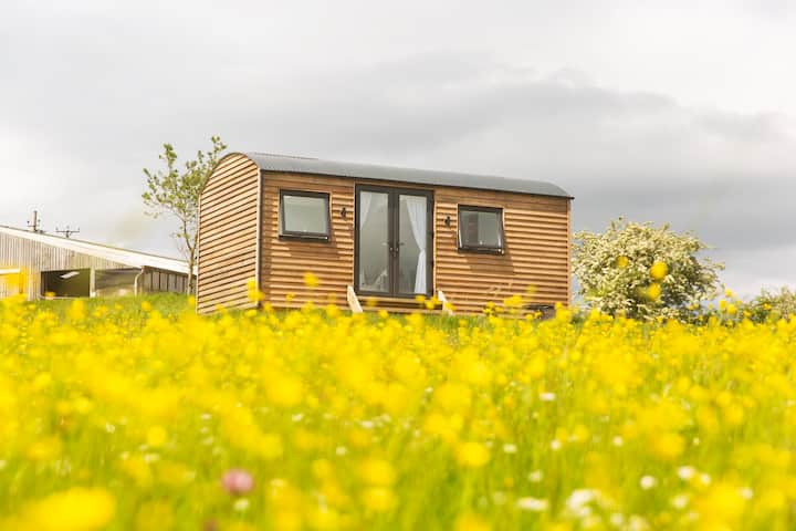 Hawthorn Hut - Luxury Stargazing Shepherds Hut - Northumberland
