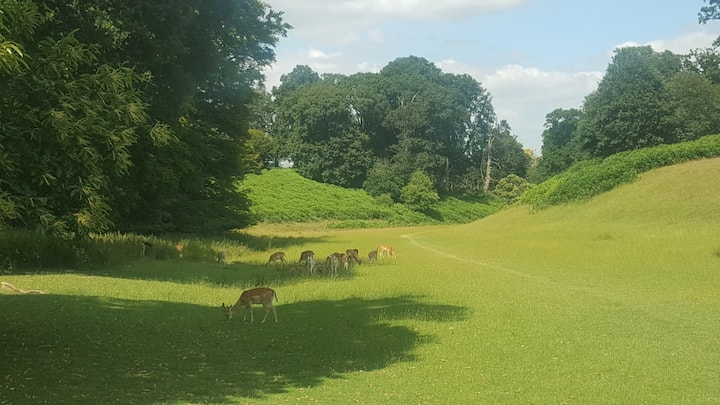 Lovely Two Bedroom Flat, Long Term Discount - Sevenoaks