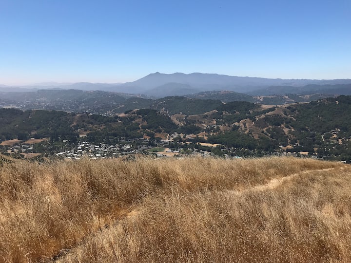 Lucas Valley One-bedroom Apartment - Novato, CA