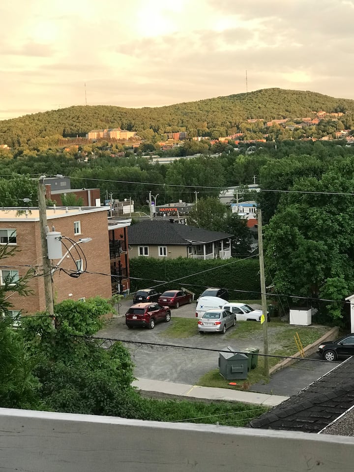 4 Et 1/2 Avec Parking Et Wi-fi - Sherbrooke