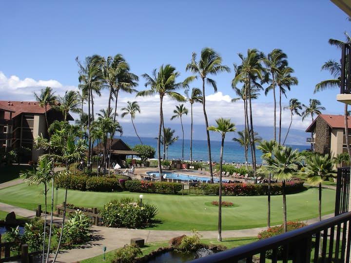 Aloha Ocean View Studio Papakea Winter Specials - Maui, HI
