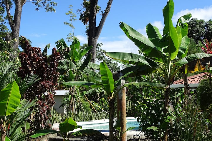 Casas Los Tucanes,tucan House - Cahuita
