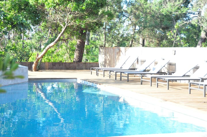 Grande Villa Piscine Centre Cap Ferret - La Teste-de-Buch