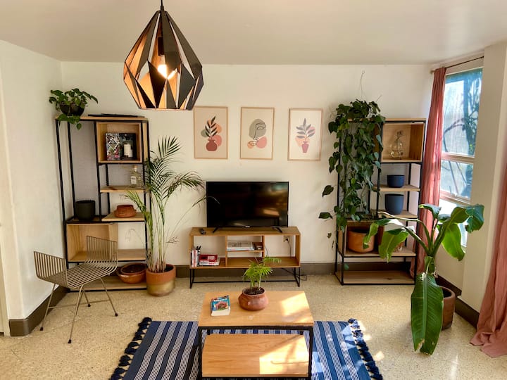 Roma Classic & Big Apartment - Benito Juarez