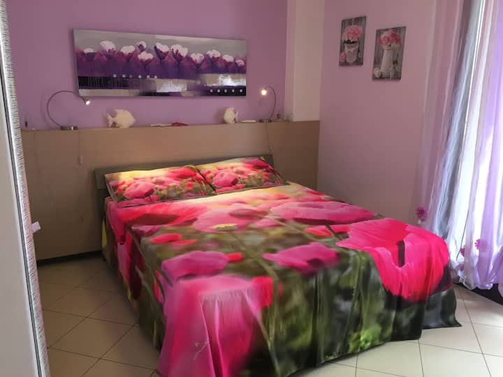 Tulipano Apartment Wifi Free Arcobaleno Apartments. Cir 19081005c225345. - Alcamo