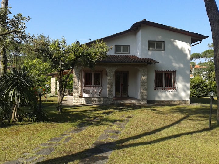 Dante's Dacia - Marina di Massa